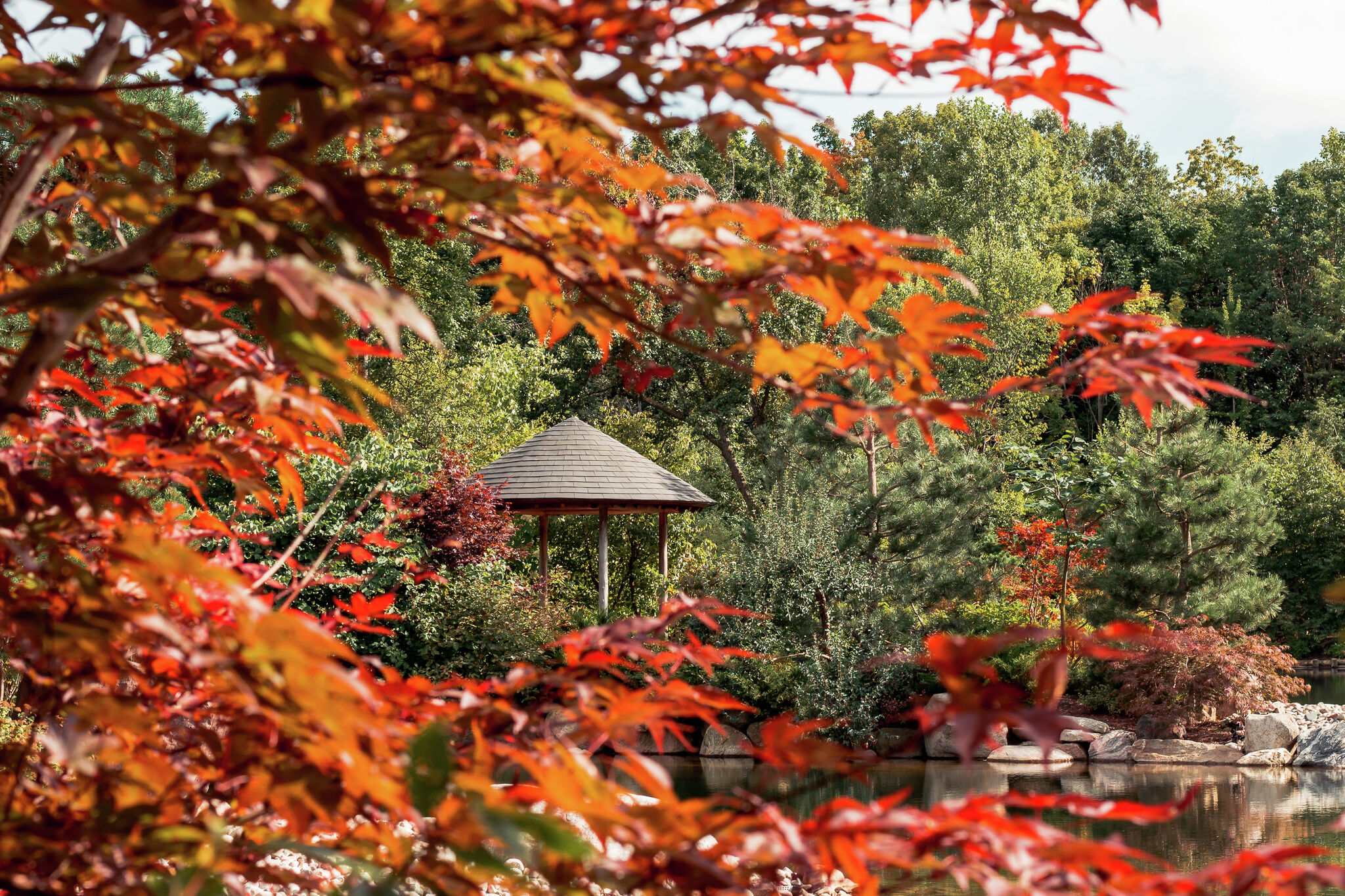 Midland Garden Council offering June 14 trip to Fredrik Meijer Gardens