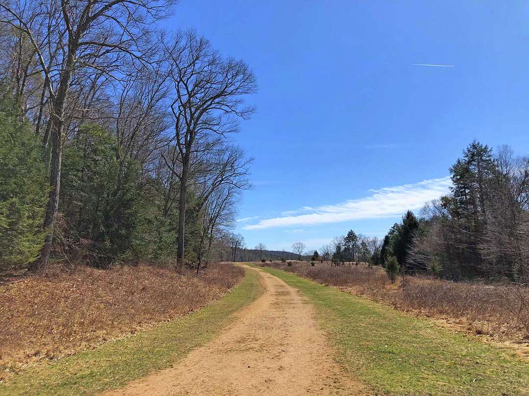 Taking in the sights and sounds of Machimoodus and Sunrise state parks