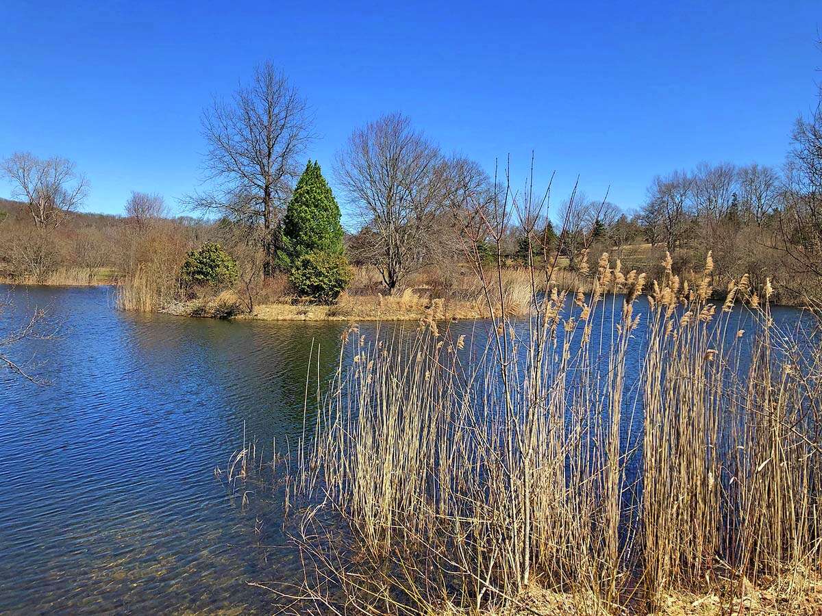 Taking in the sights and sounds of Machimoodus and Sunrise state parks