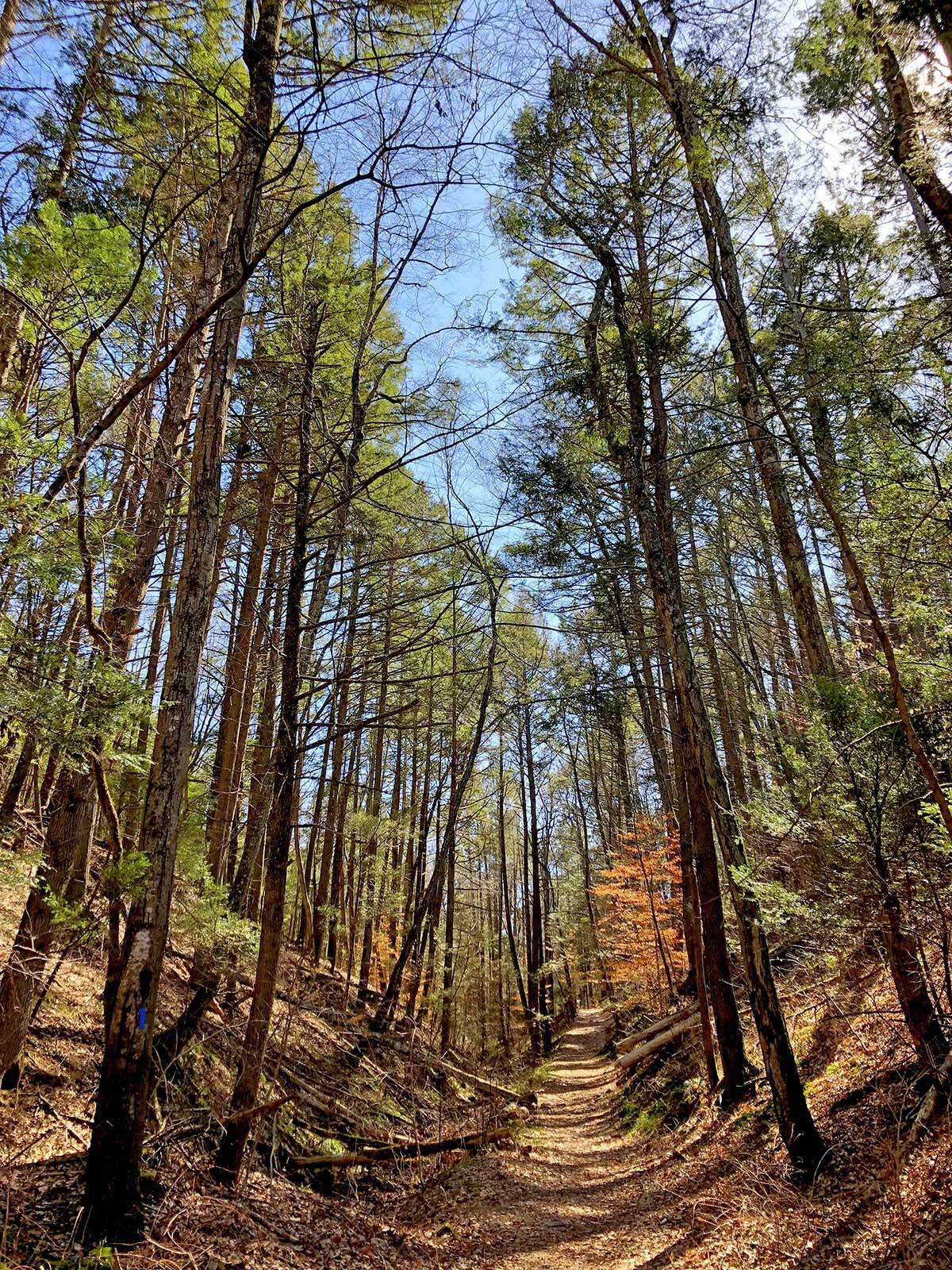 Taking in the sights and sounds of Machimoodus and Sunrise state parks