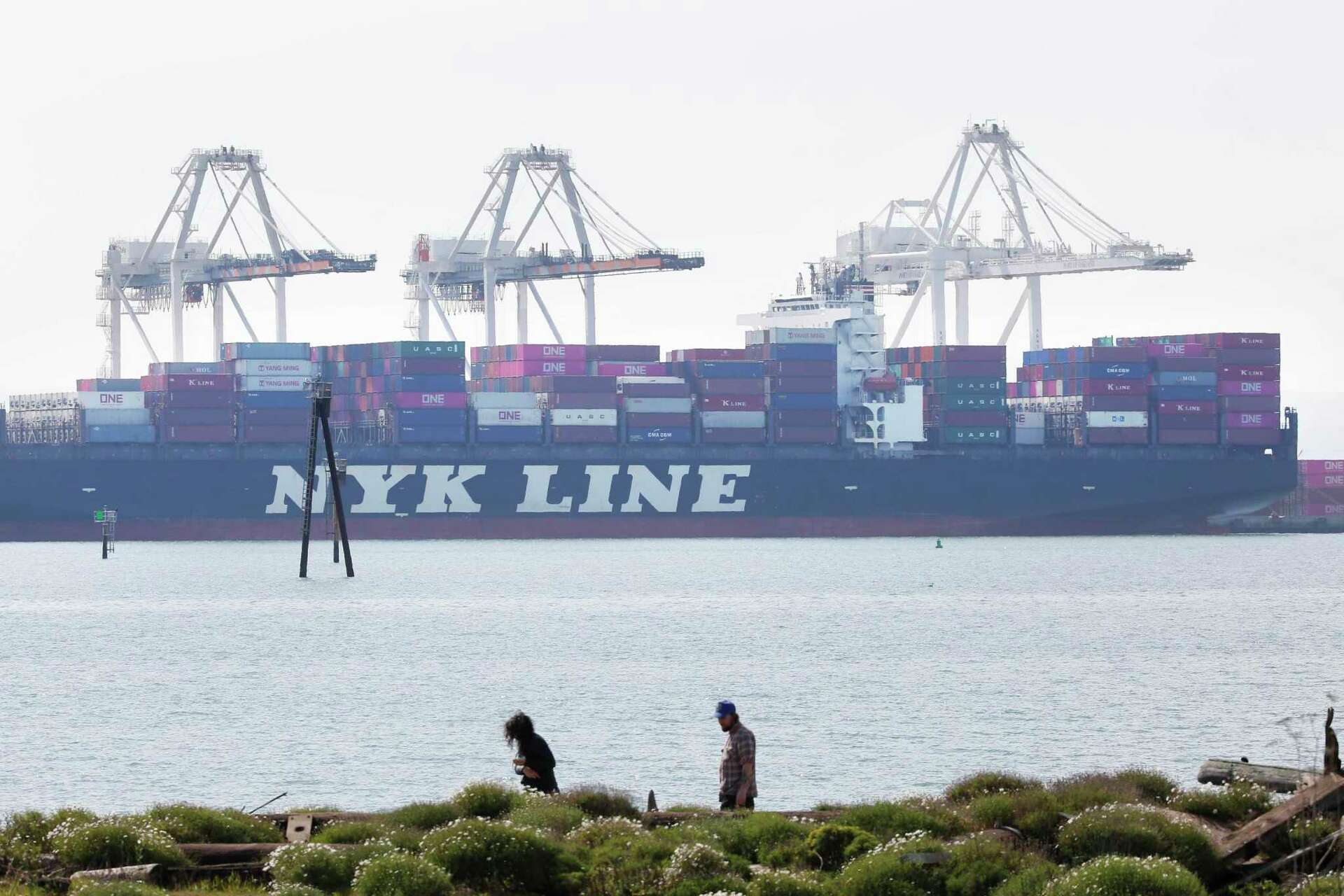 Baltimore bridge: What happens if a cargo vessel hits the Bay Bridge?