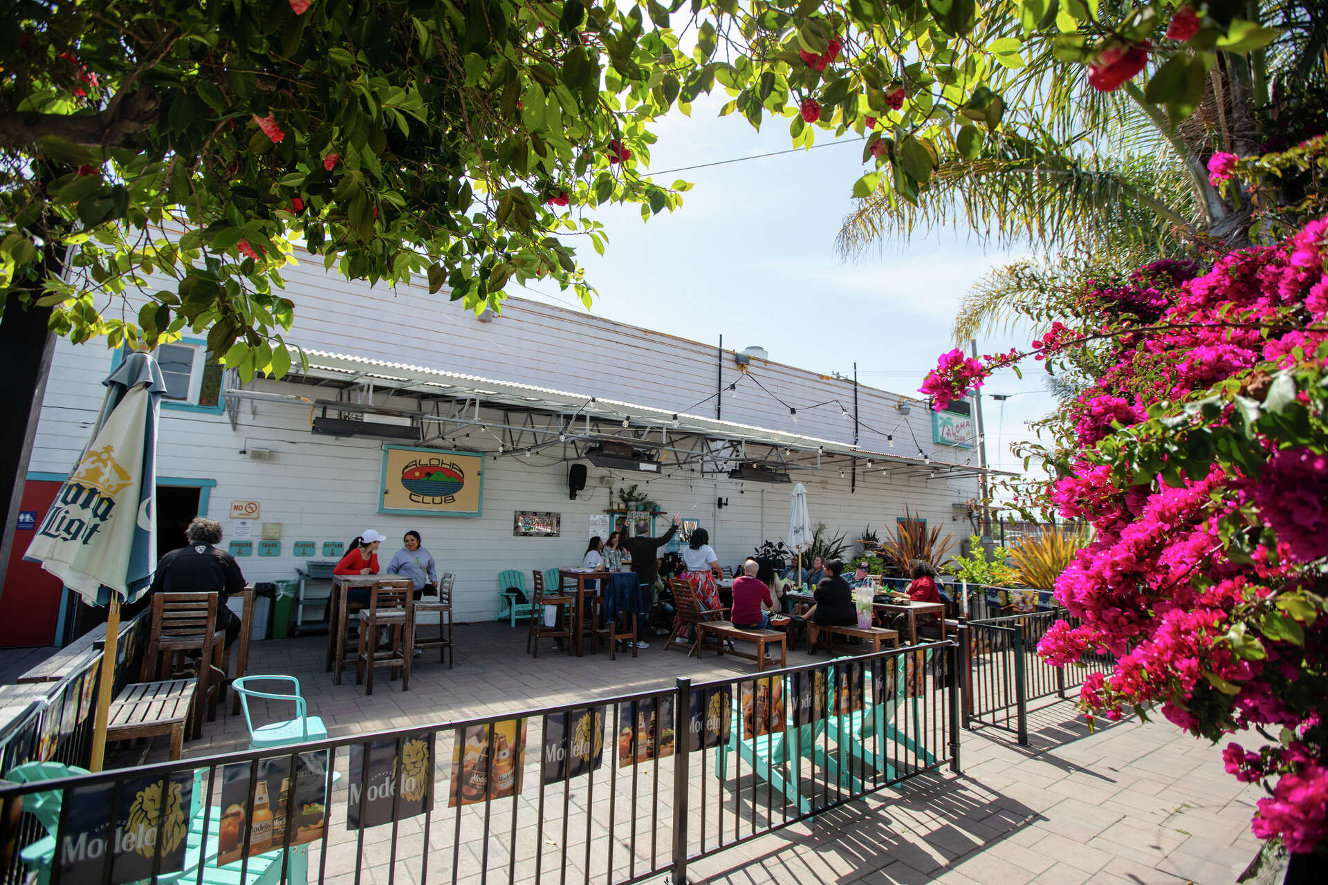 Bay Area history unearthed at 110-year-old dive bar