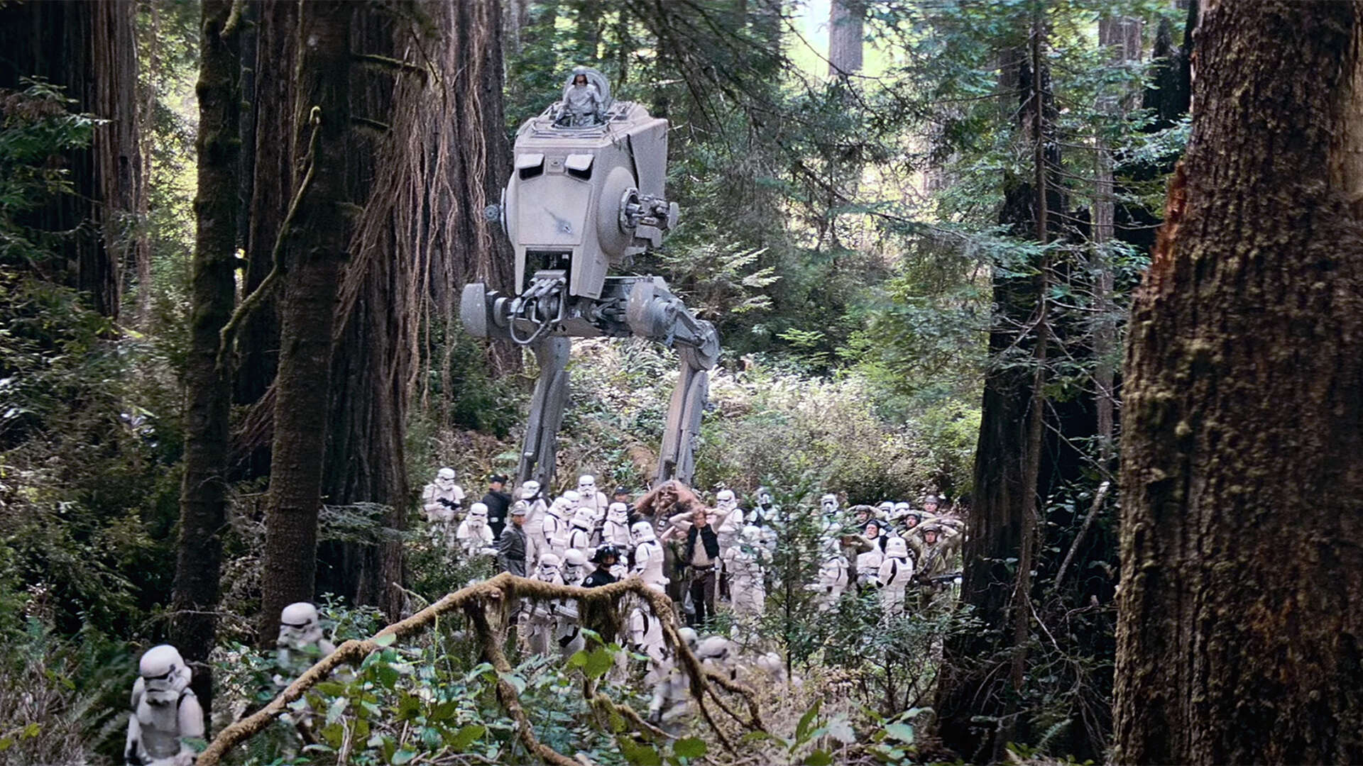 How Calif. forest used as Endor in 'Star Wars' disappeared