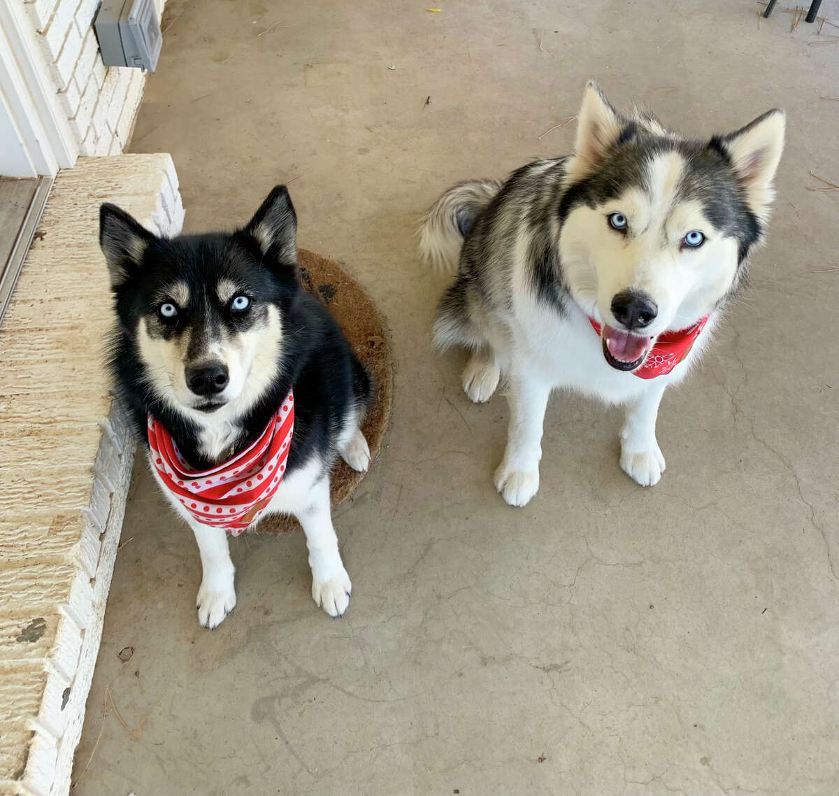 Opinion: Incomparable reporter/photographer Jacy Lewis says farewell to ...