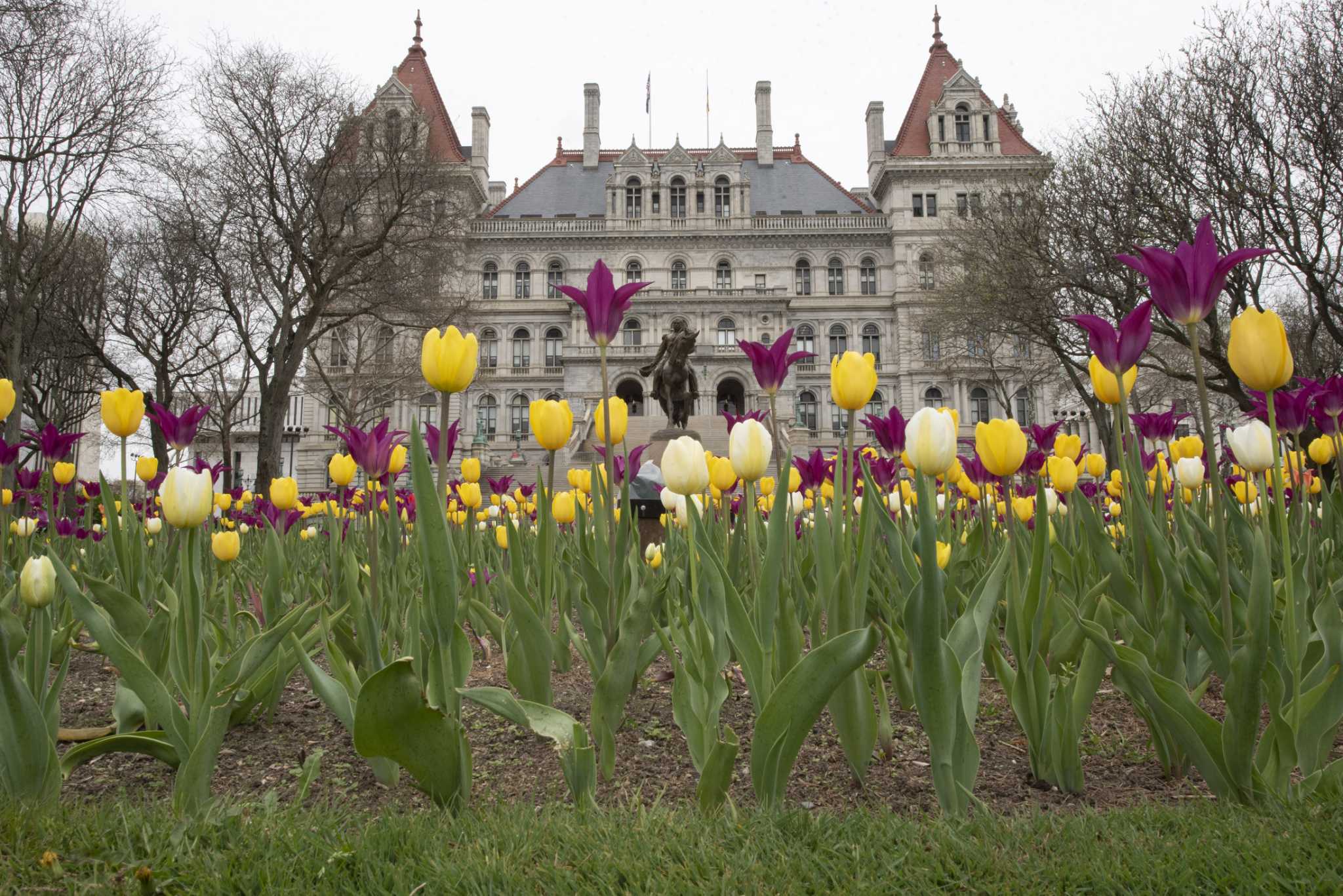 LeBrun: Everything, everywhere in the budget