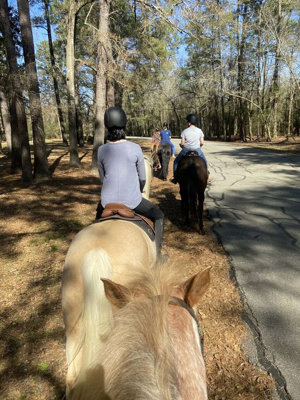 5 of the best places to go horseback riding near Houston