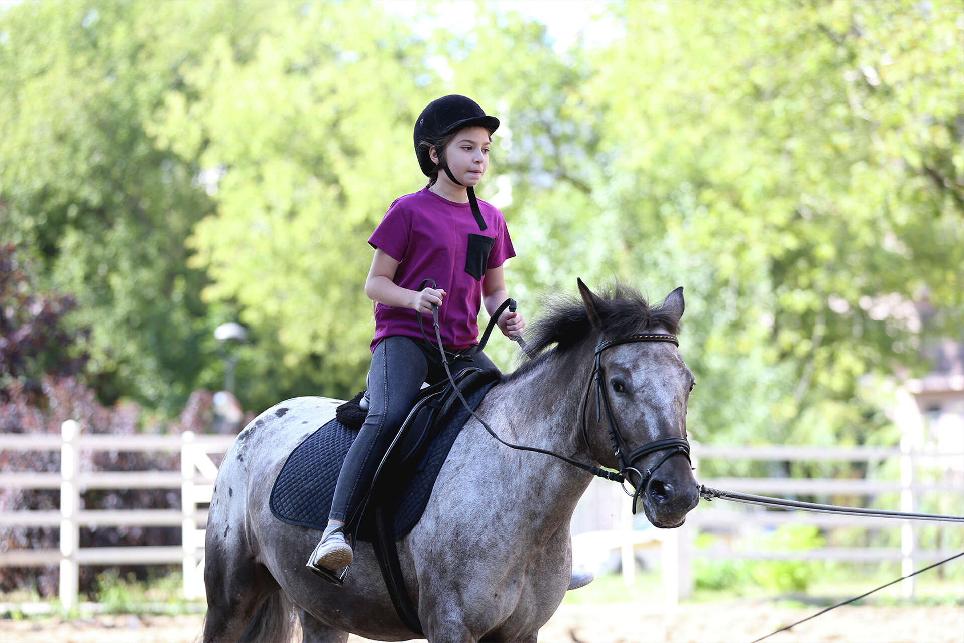 Equestrian near me store