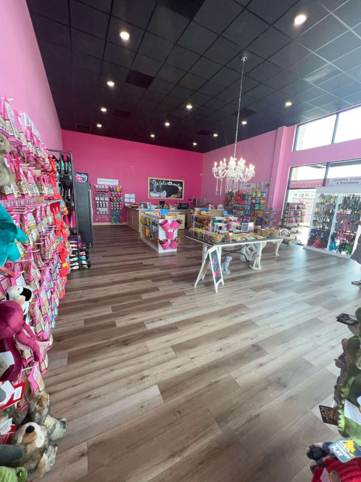 First of two new Woof Gang Bakery & Grooming locations holds grand ...