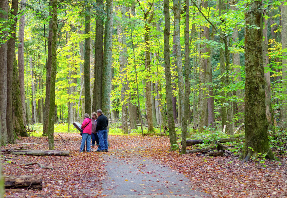 Hartwick Pines State Park near Grayling, Michigan boats nearly 9,700 ...