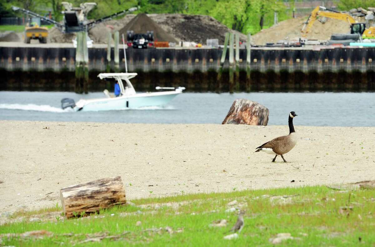Splash pad and tot lot for Boccuzzi Park? New recreational features ...