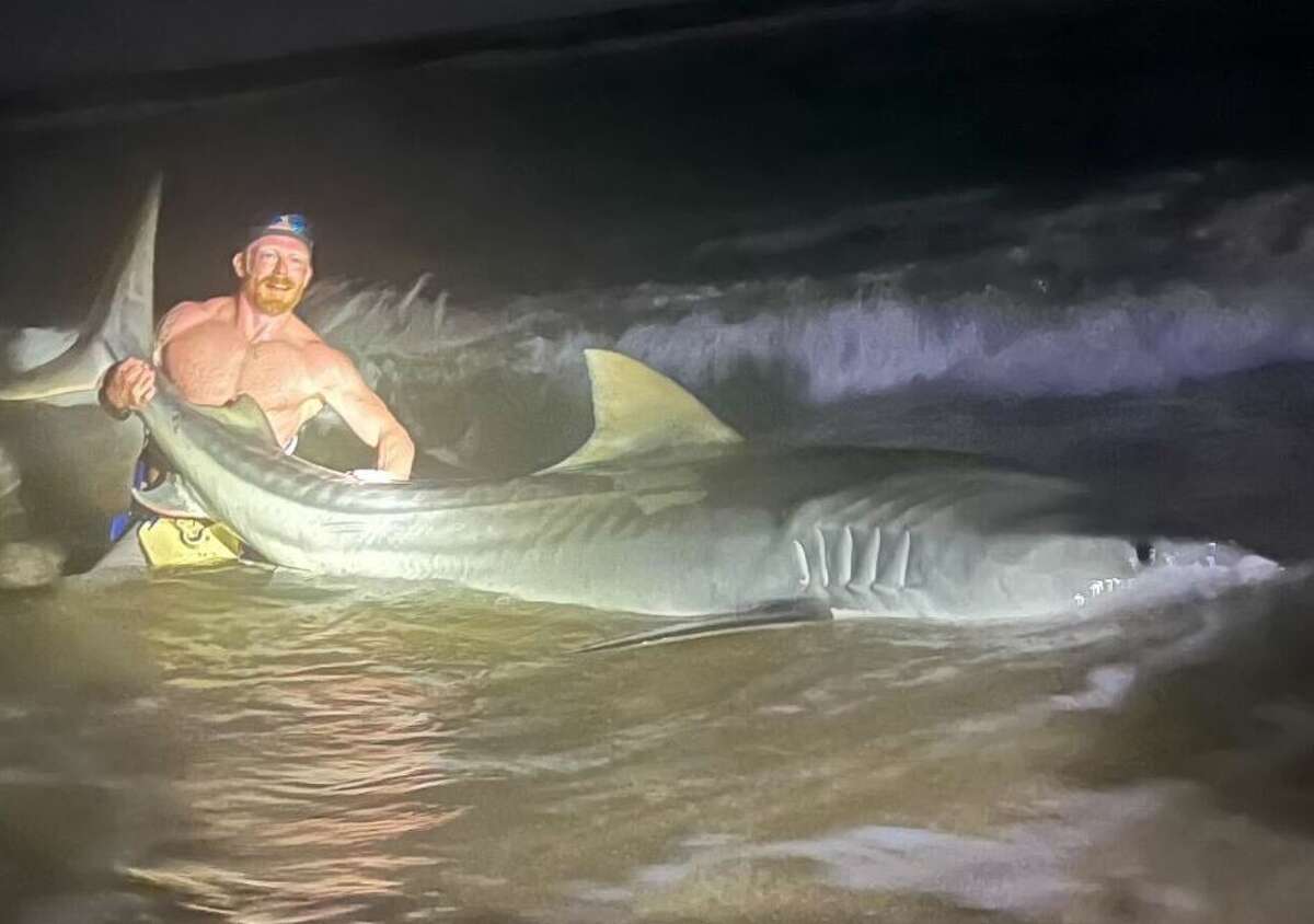 Texas' craziest shark catches reeled in so far this year