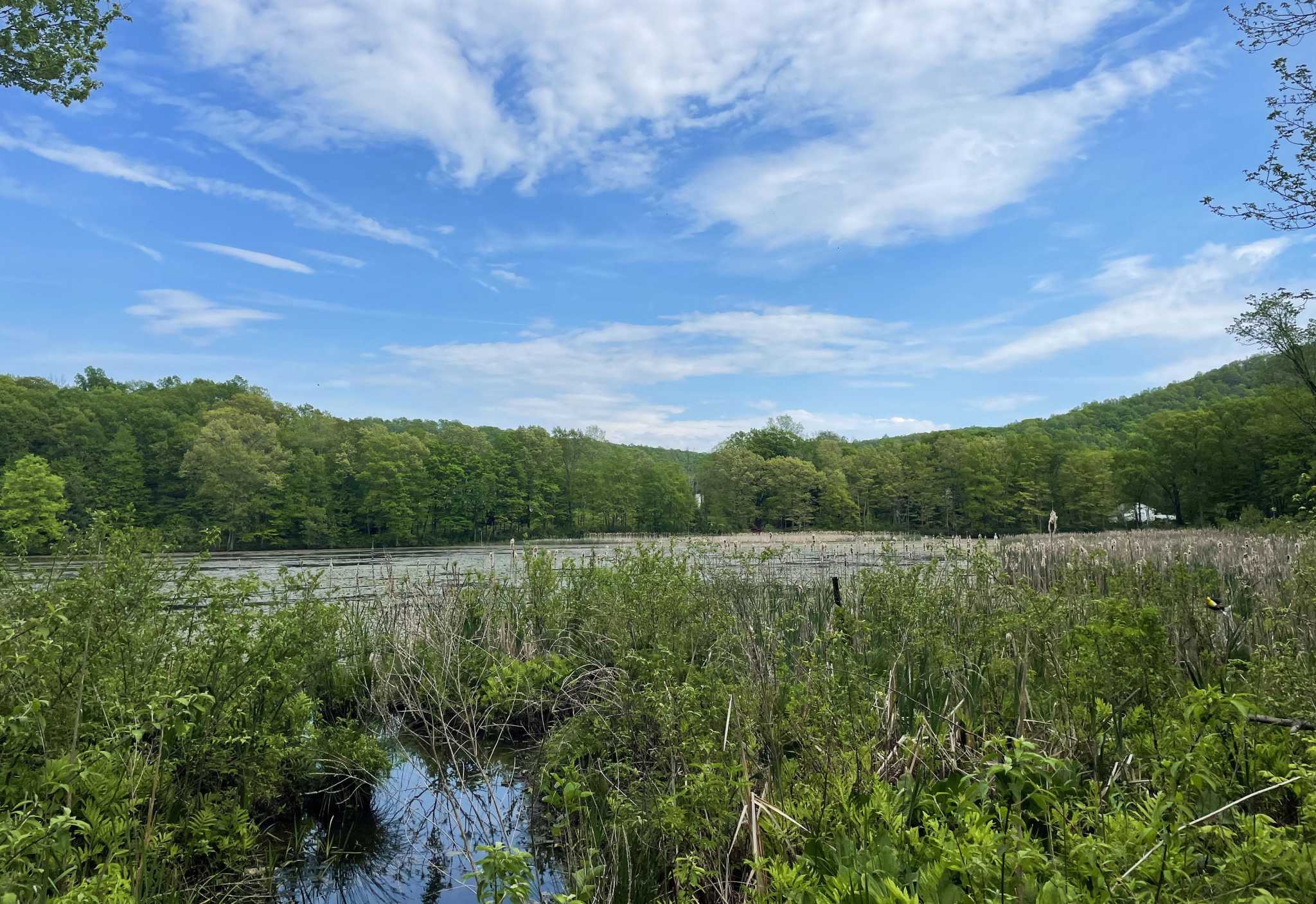 ‘Our happy place’: Middletown Highland Pond dam removal project met ...