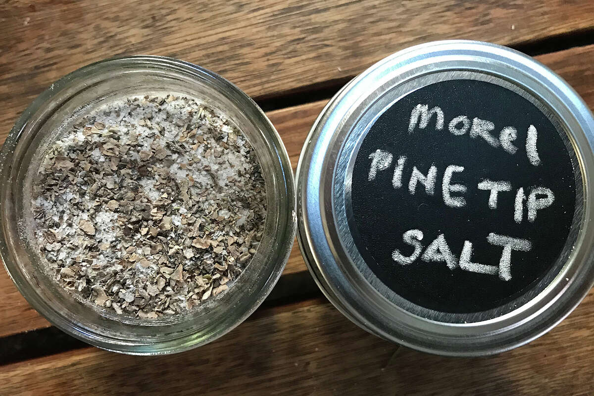 Tahoe wildfire burn scars a boon for morel mushroom foragers