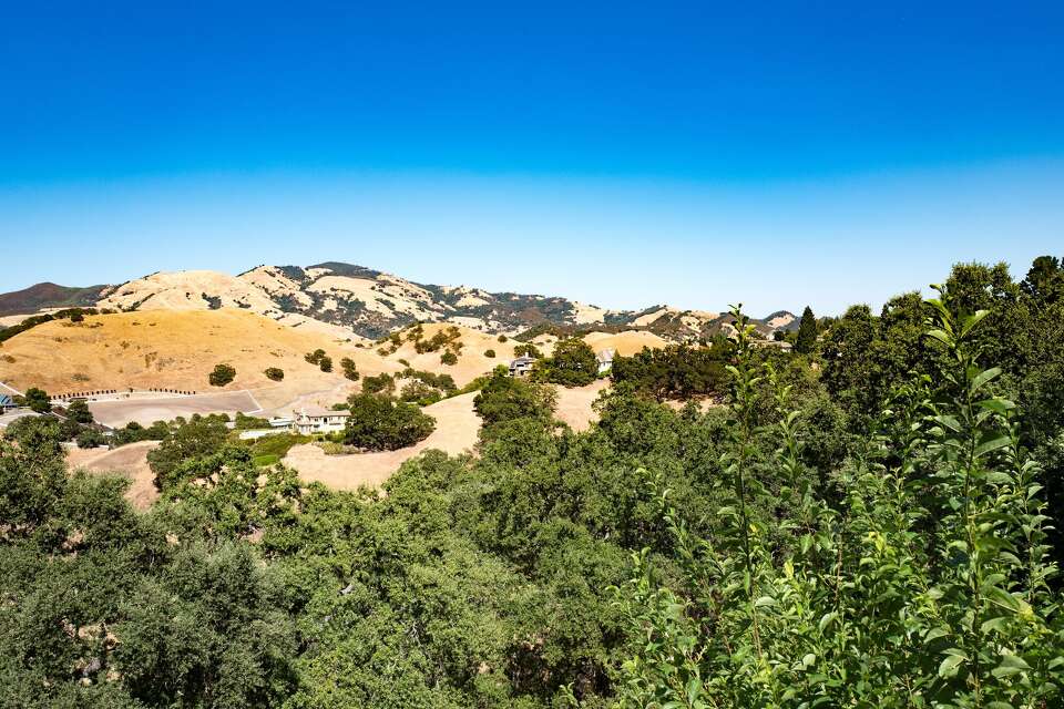 Invasive jumping worms have made their way into California, and ...