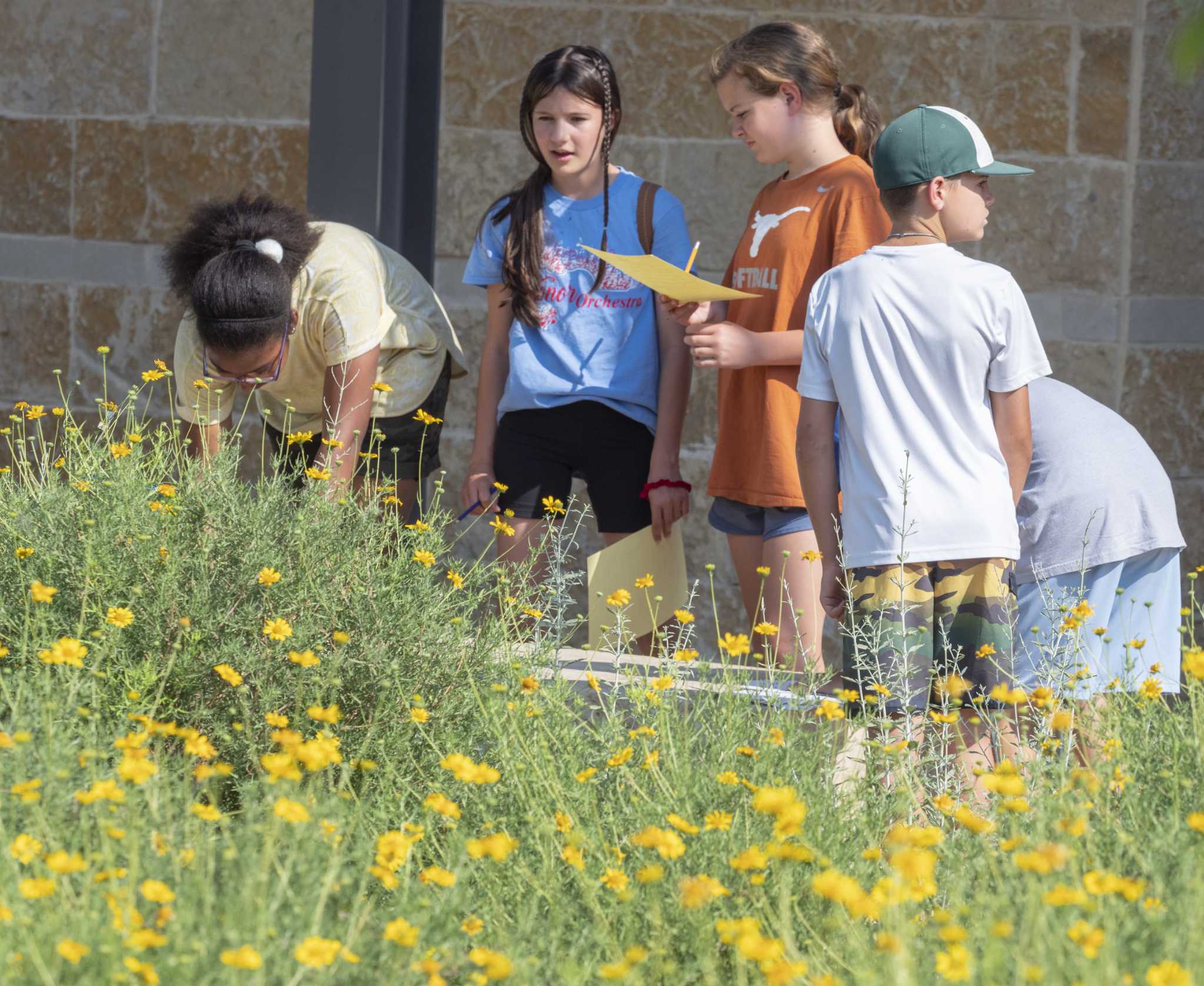 Scenes from Centennial Park Field Day