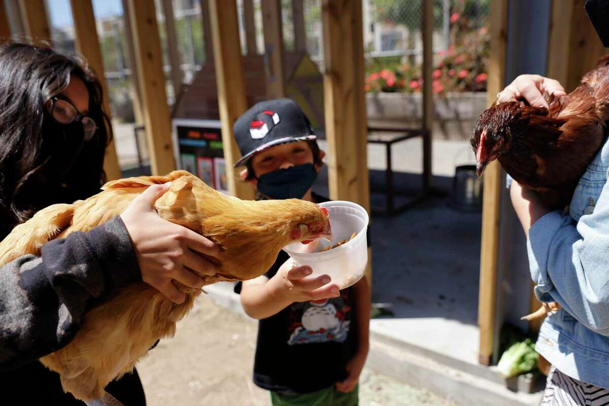 S.F. parents shelled out thousands of dollars to build this elementary ...