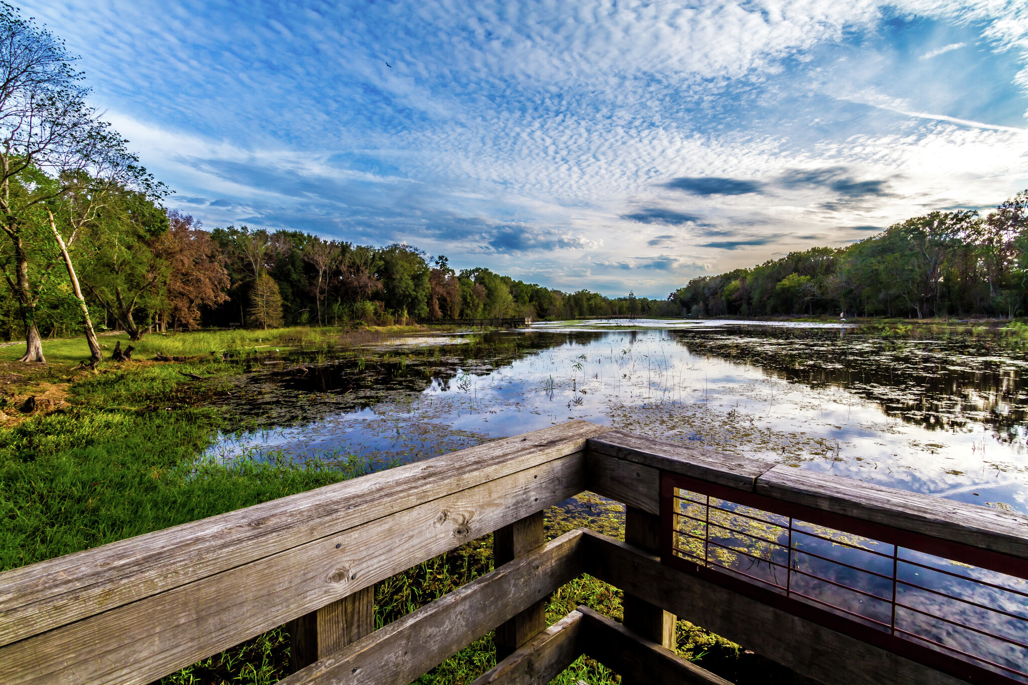 7 beautiful state parks near Houston worth visiting