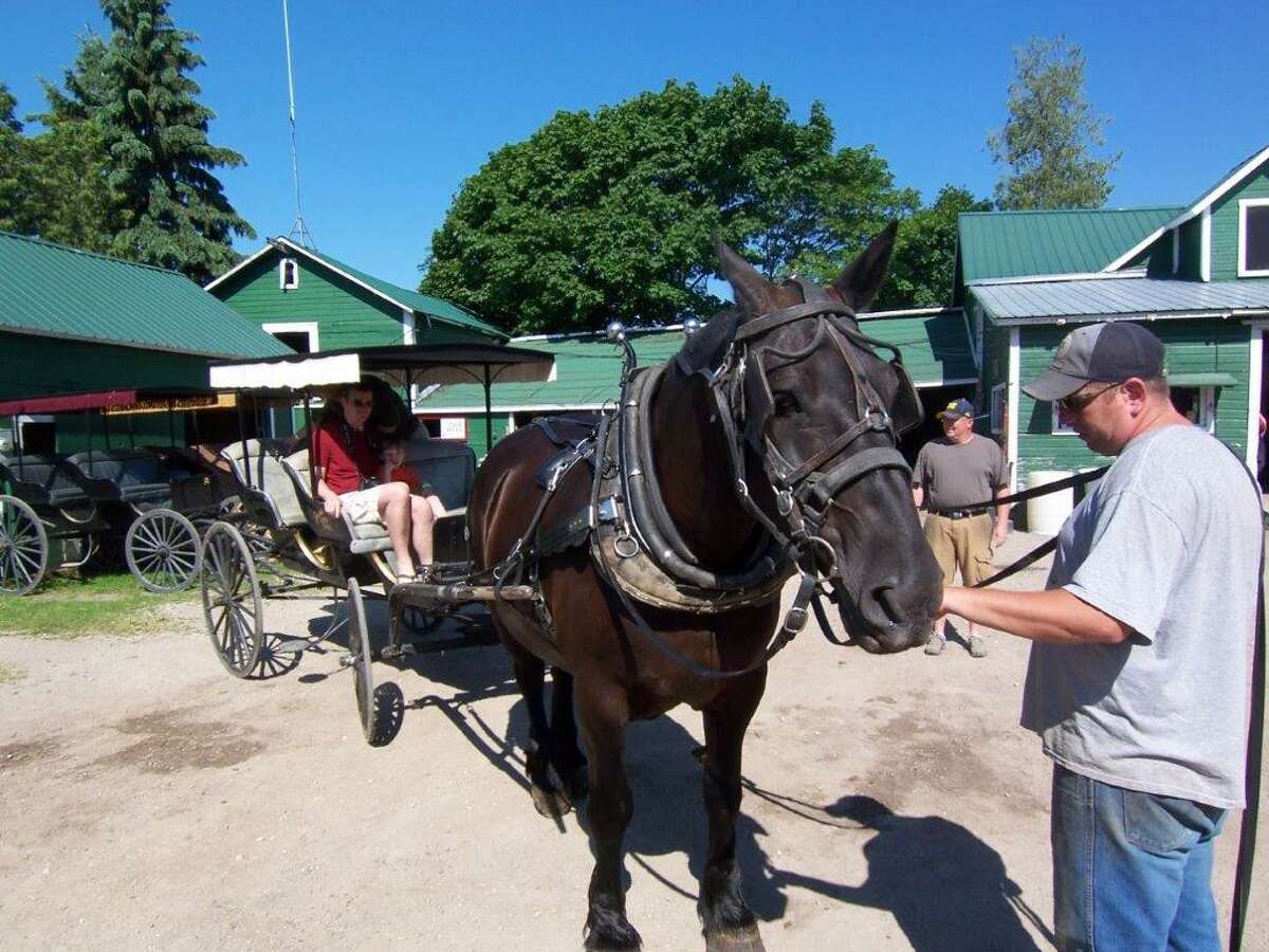 TOM LOUNSBURY: Here's how get around on Mackinac Island