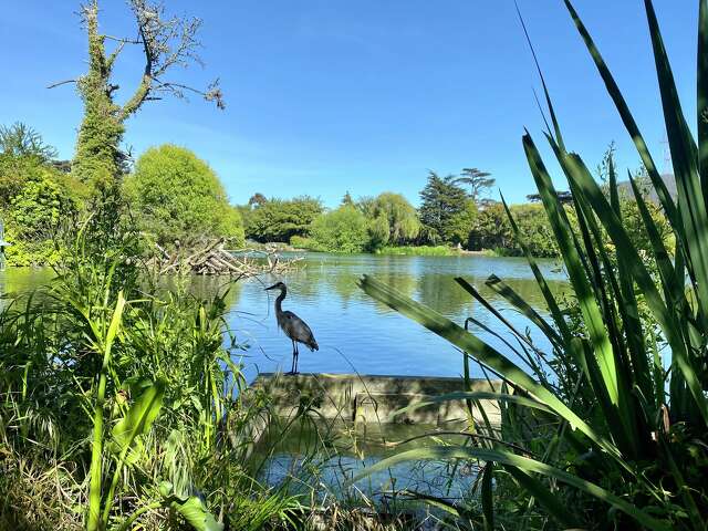 Stow Lake's new name revealed