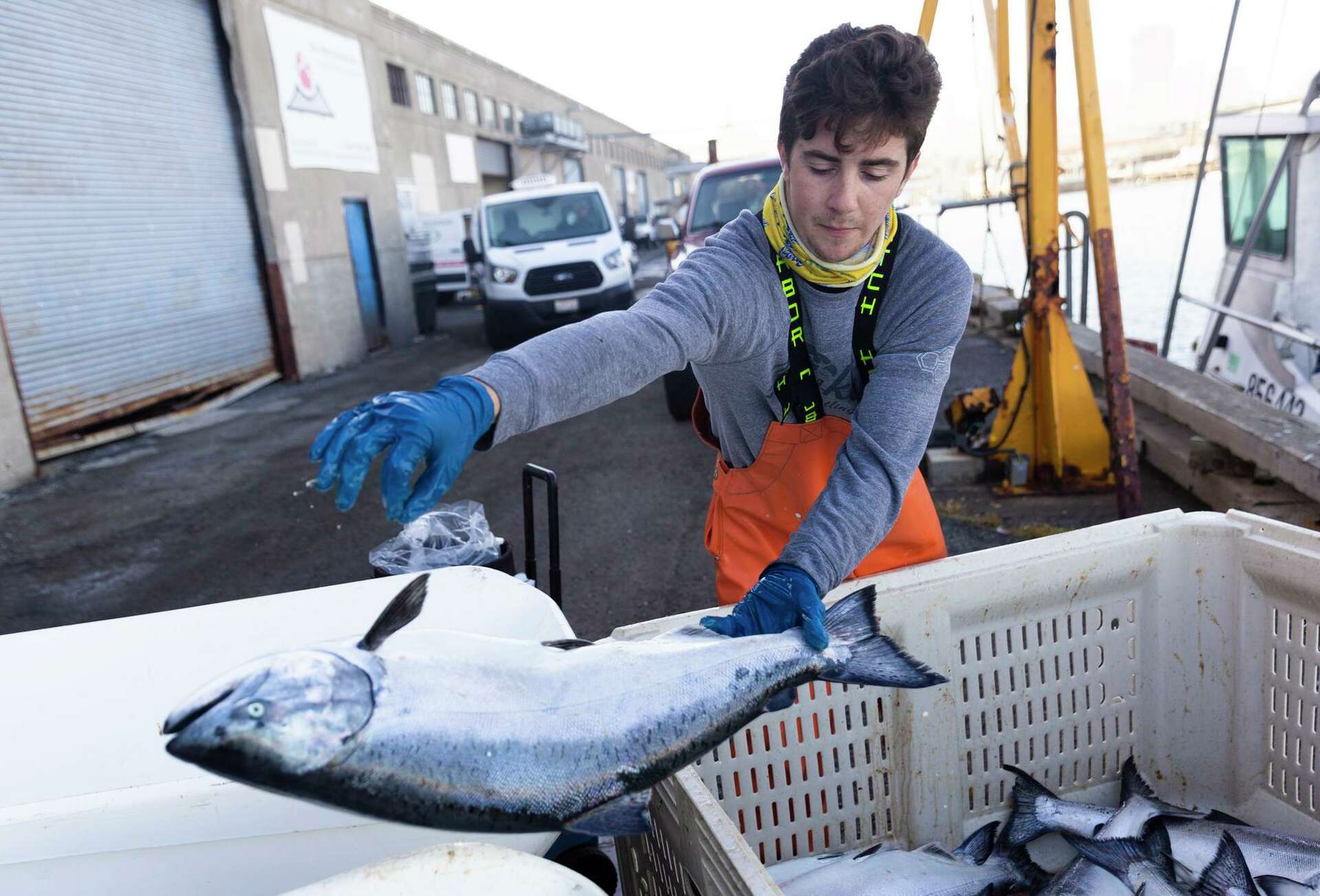 Where to buy California king salmon in the Bay Area