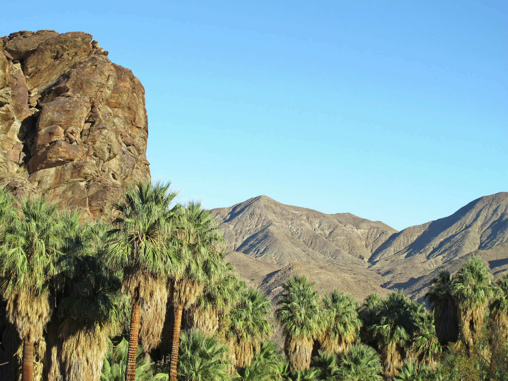 Murray Canyon Trail—a desert hike with a secret swimming hole