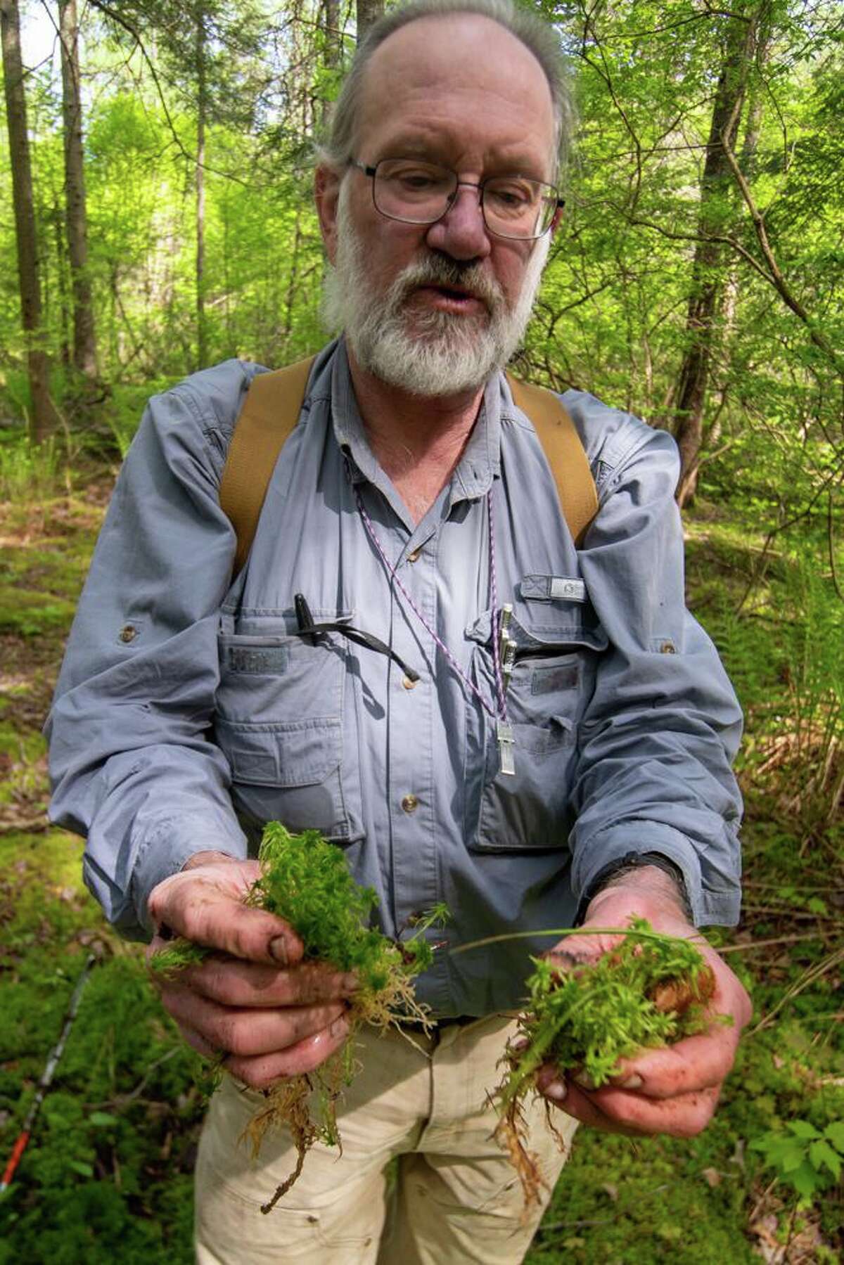 Robert Miller: Exploring Black Spruce Bog