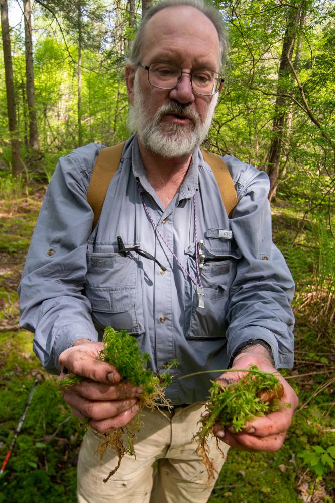 Robert Miller: Exploring Black Spruce Bog