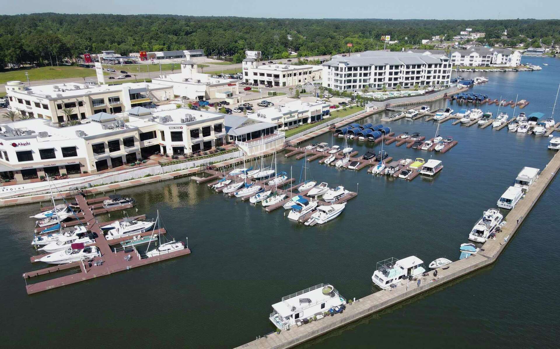 Lake Conroe is home to alligators, snakes and monster-sized fish