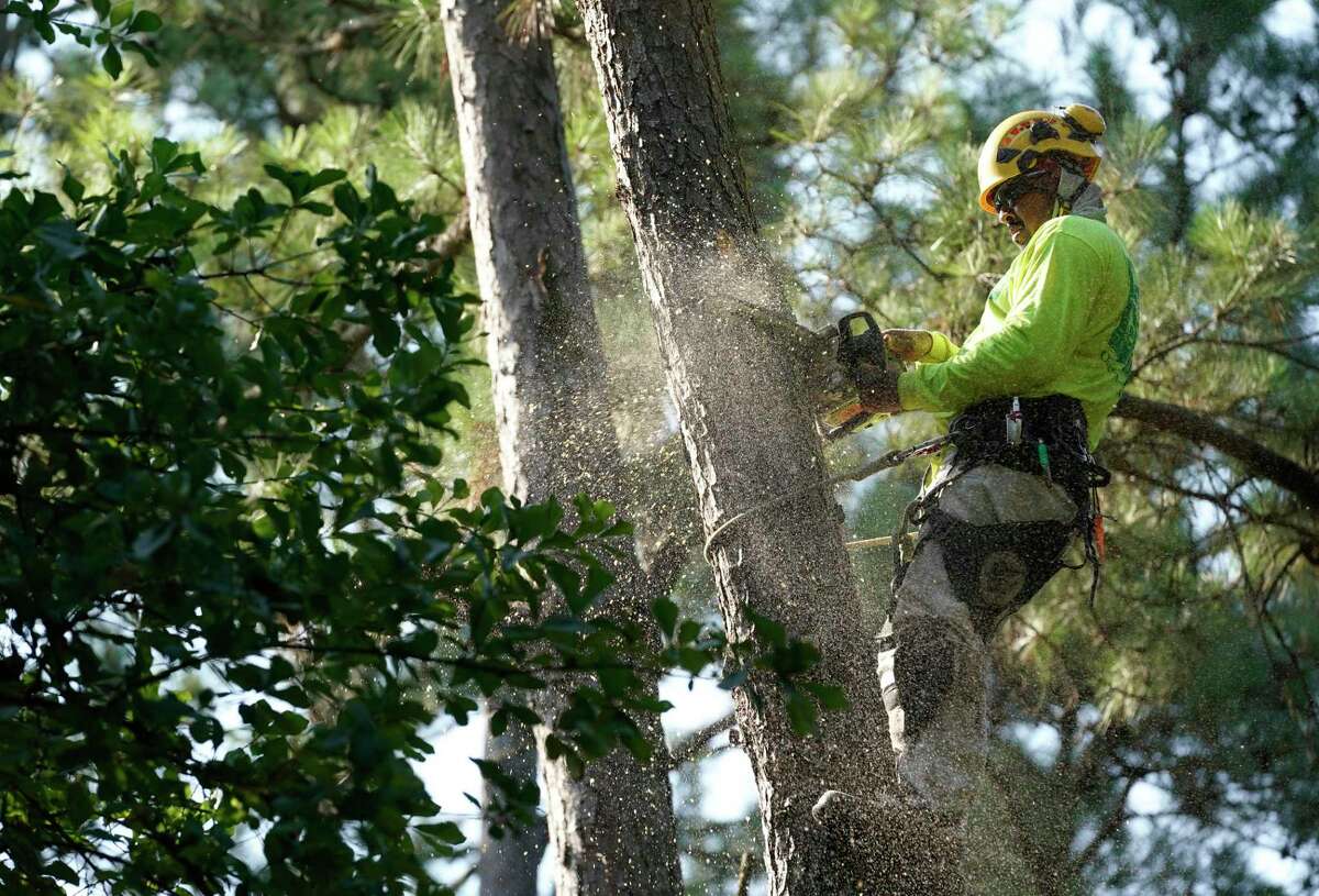 How to prepare homes for hurricanes in Texas as Atlantic season begins