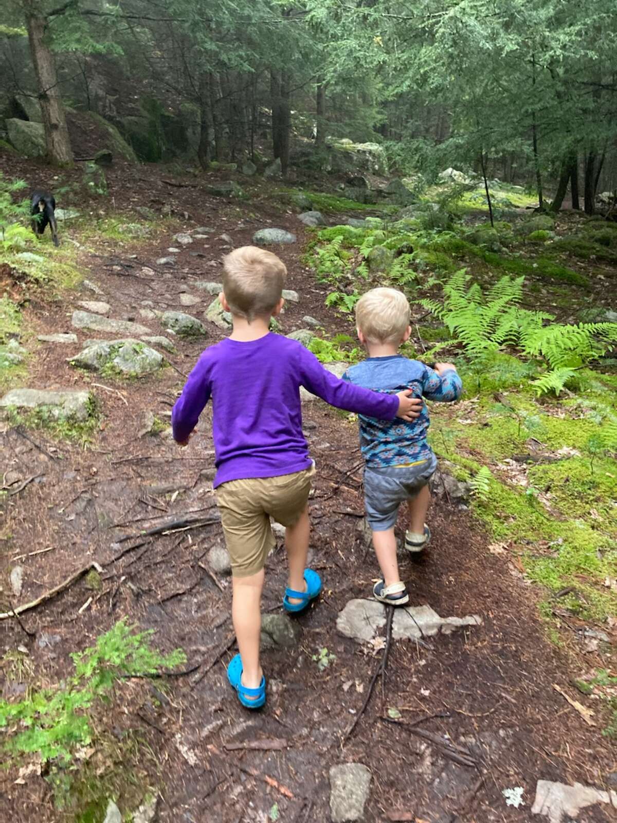 Thousands find summer escapes in second homes, cabins