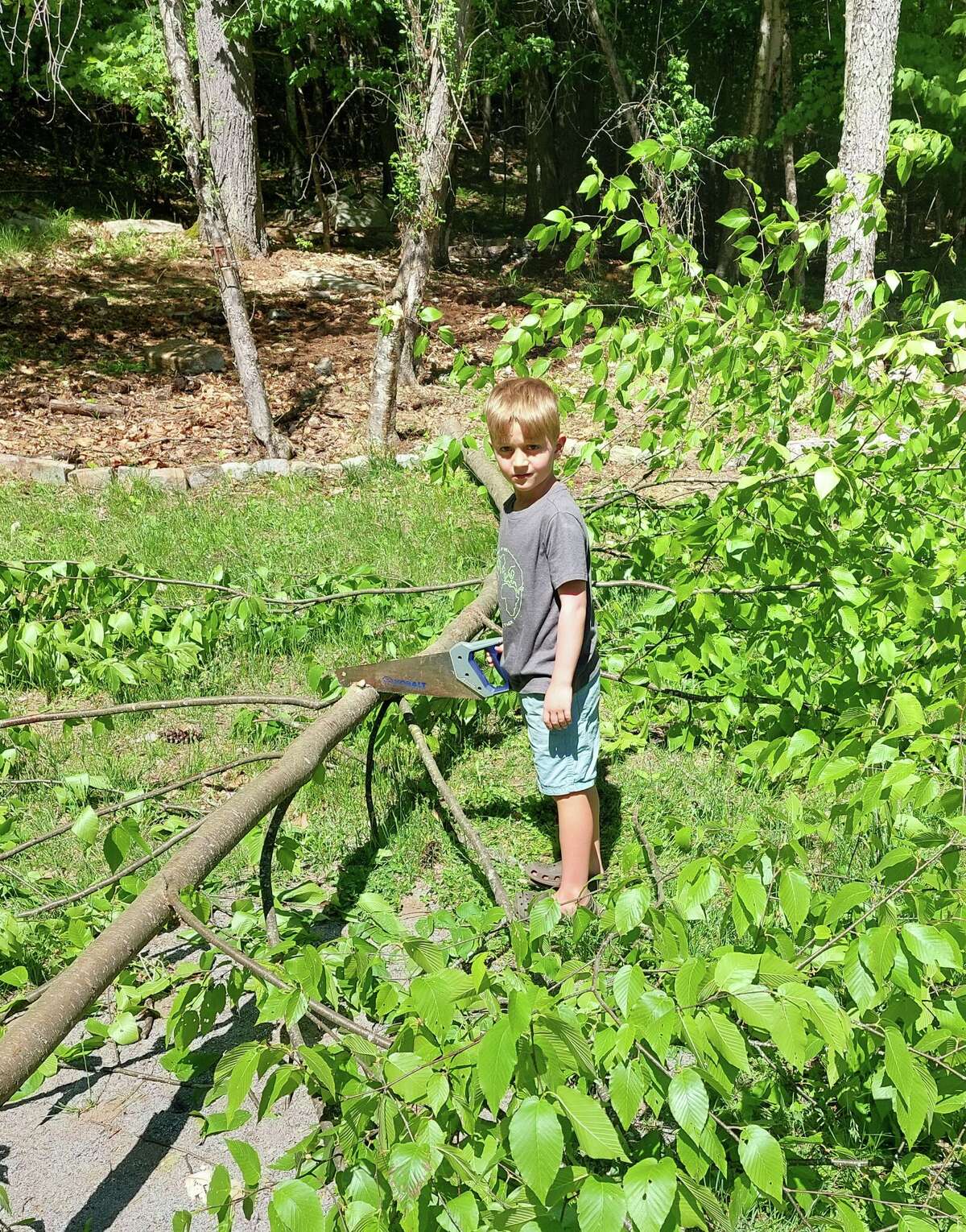 Thousands find summer escapes in second homes, cabins