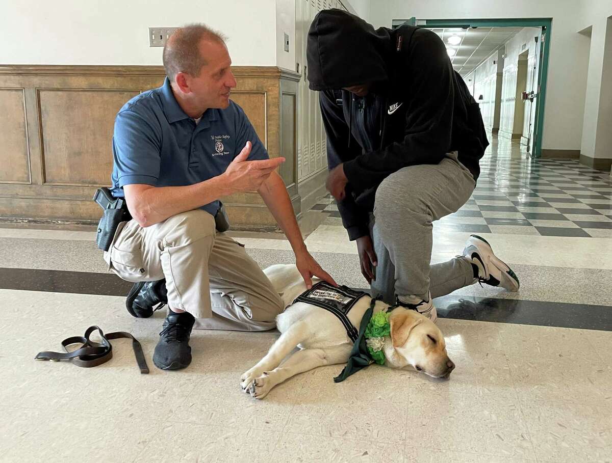 In wake of student deaths, Heidi the yellow lab brings comfort to ...