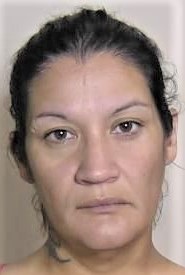 Granite City woman faces multiple charges after cutting youth’s face