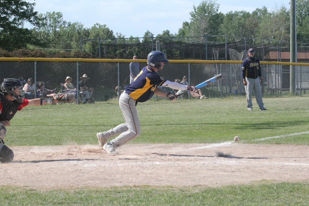 Bad Axe baseball wins district title