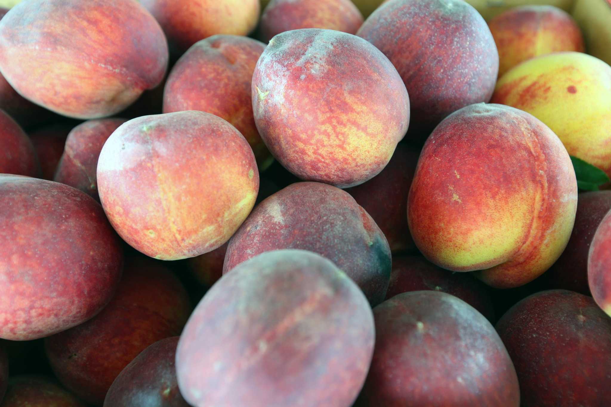 Fewer Hill Country peaches expected this year due to mild winter