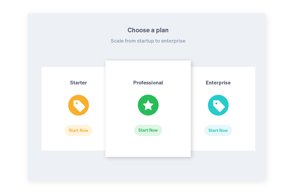 This payment platform is used by millions of businesses.