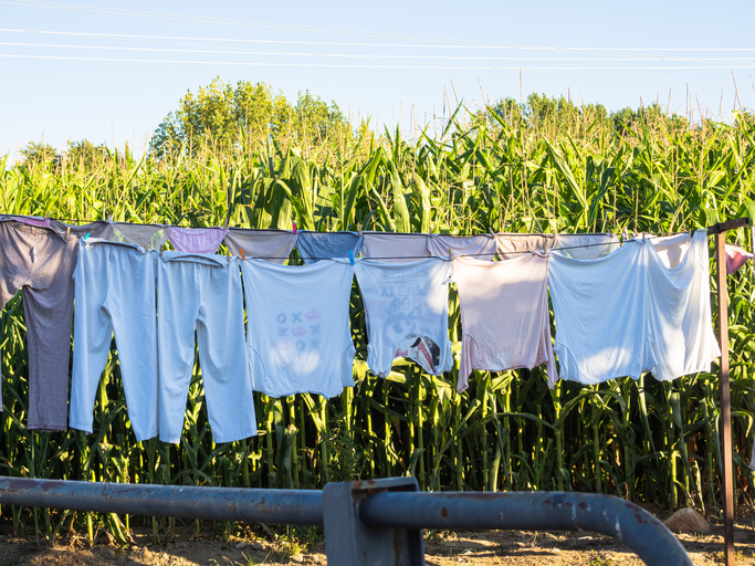 Commentary: Robin writes by Robin Garrison Leach — Let me be brief (or ...