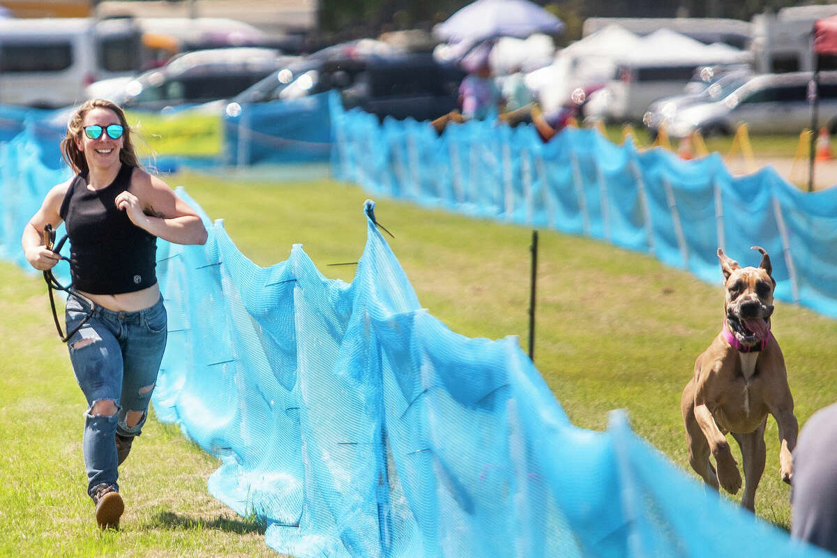 SEEN: Midland Michigan Kennel Club Dog Show held at Midland County ...