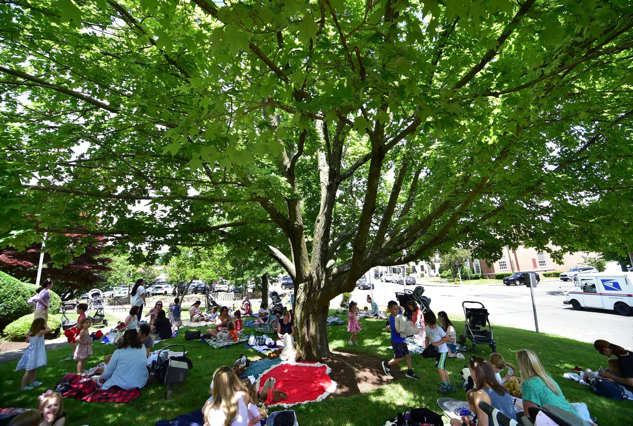 In Photos: Teddy bear playdate at New Canaan library