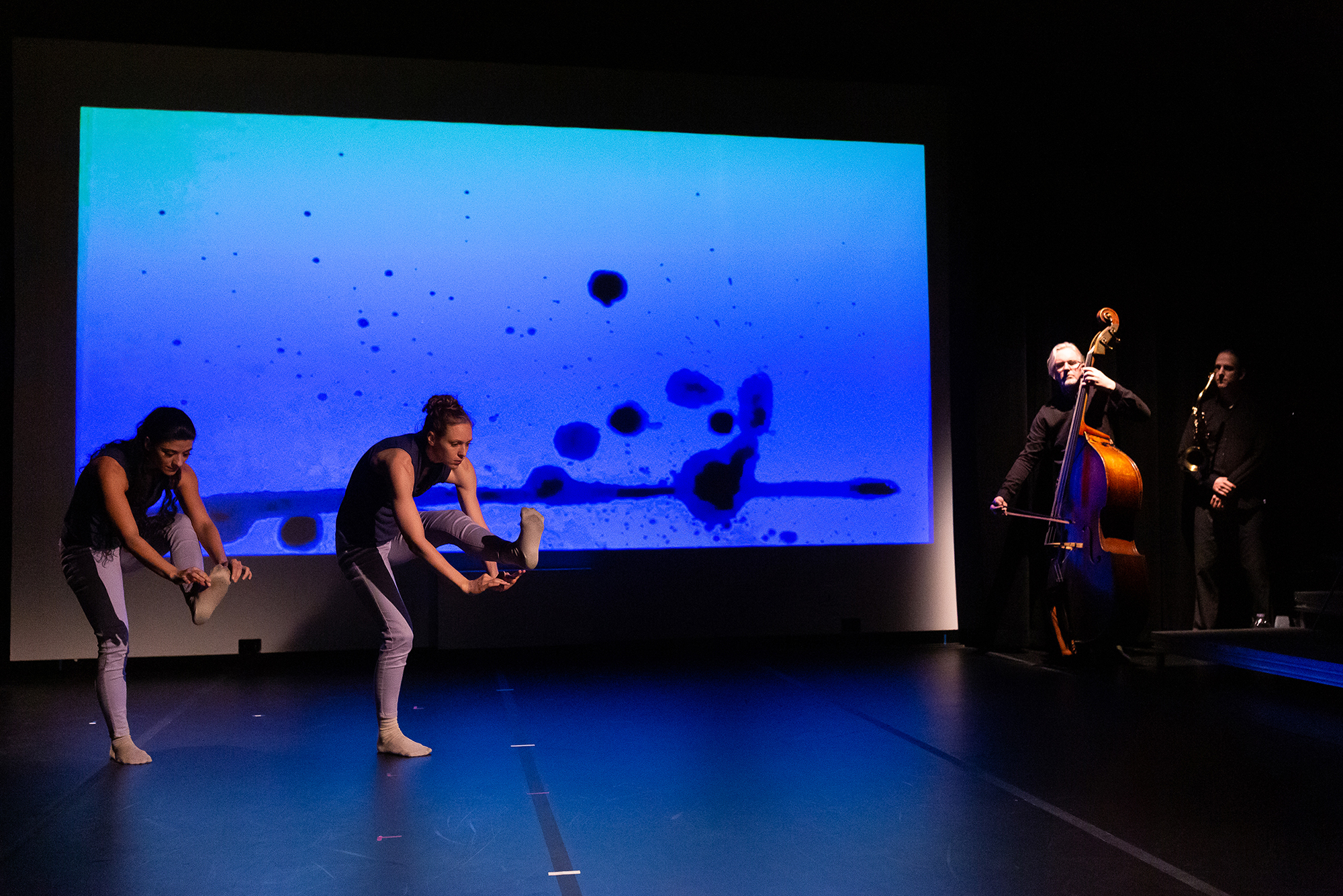 Houston's Group Acorde to merge dance, visual arts in weekend performance