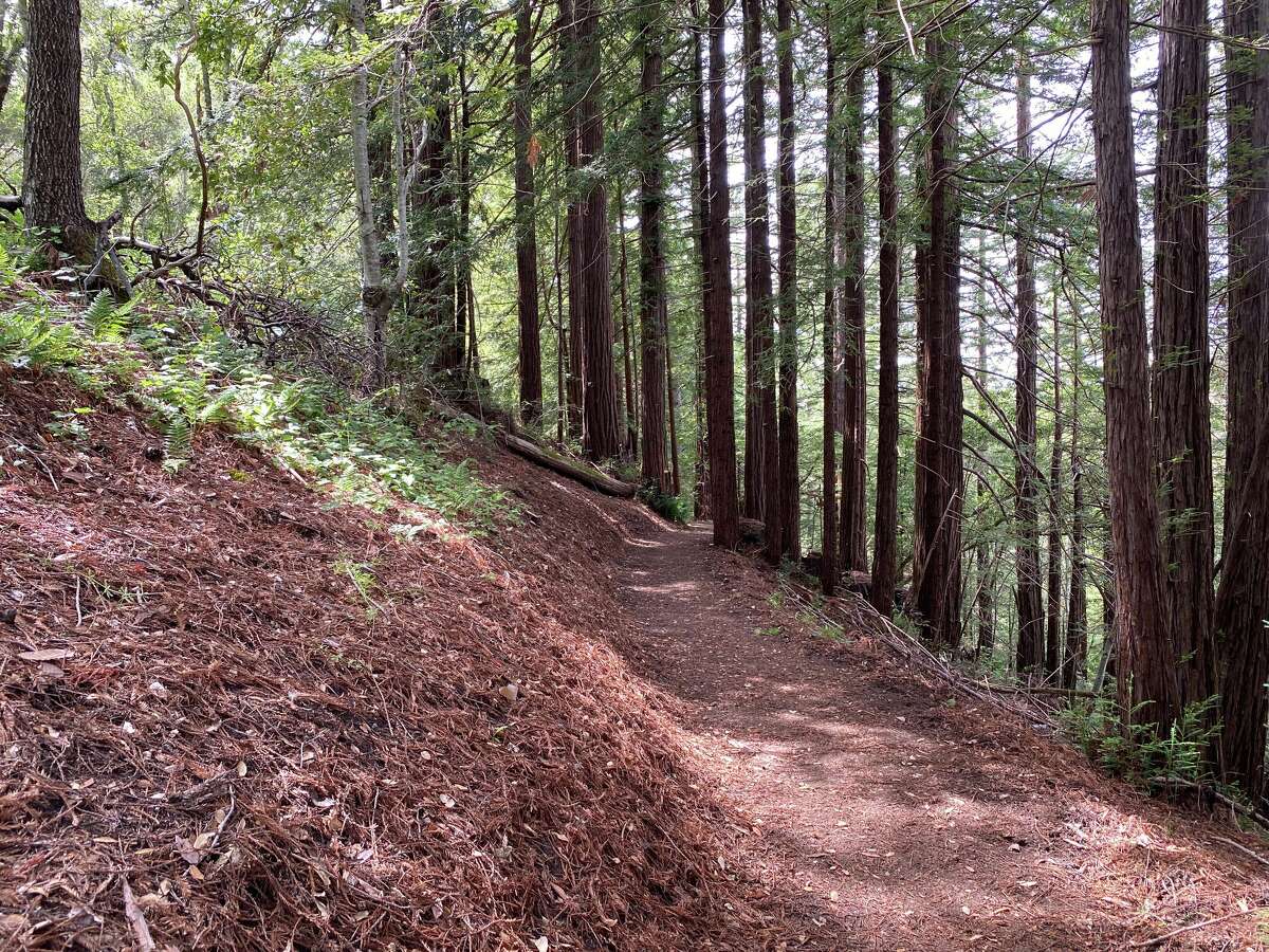 Grasshopper Loop Trail, the Bay Area’s newest hike, is perfect for beginners