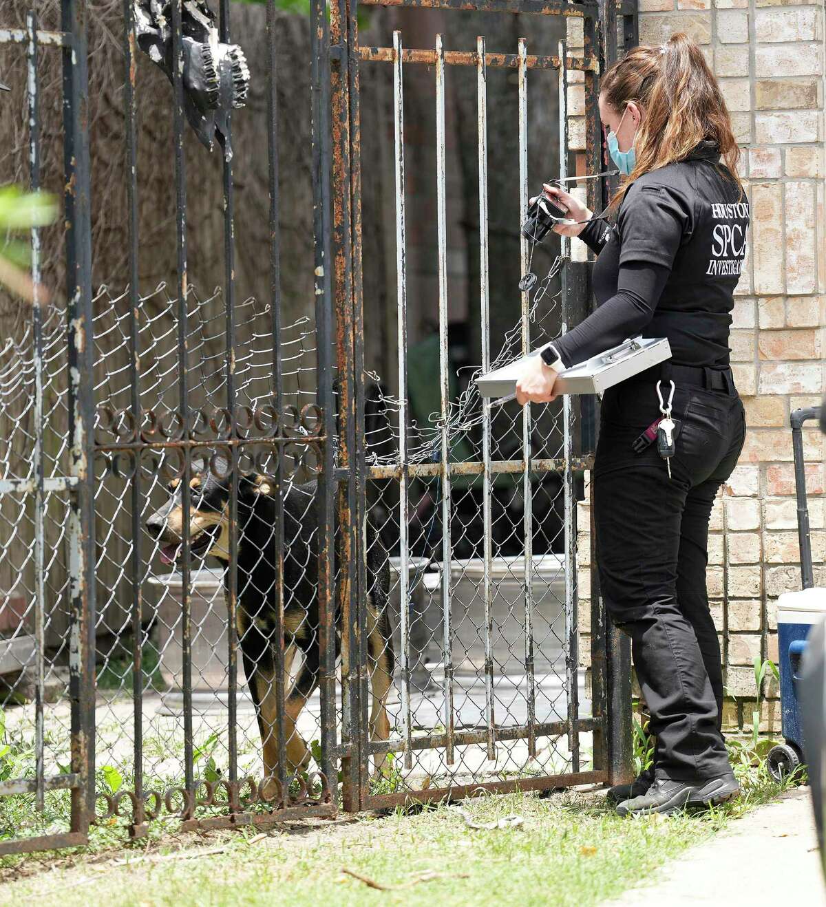 Houston heat killed 5 dogs in 1 week. Cruelty teams are swamped.