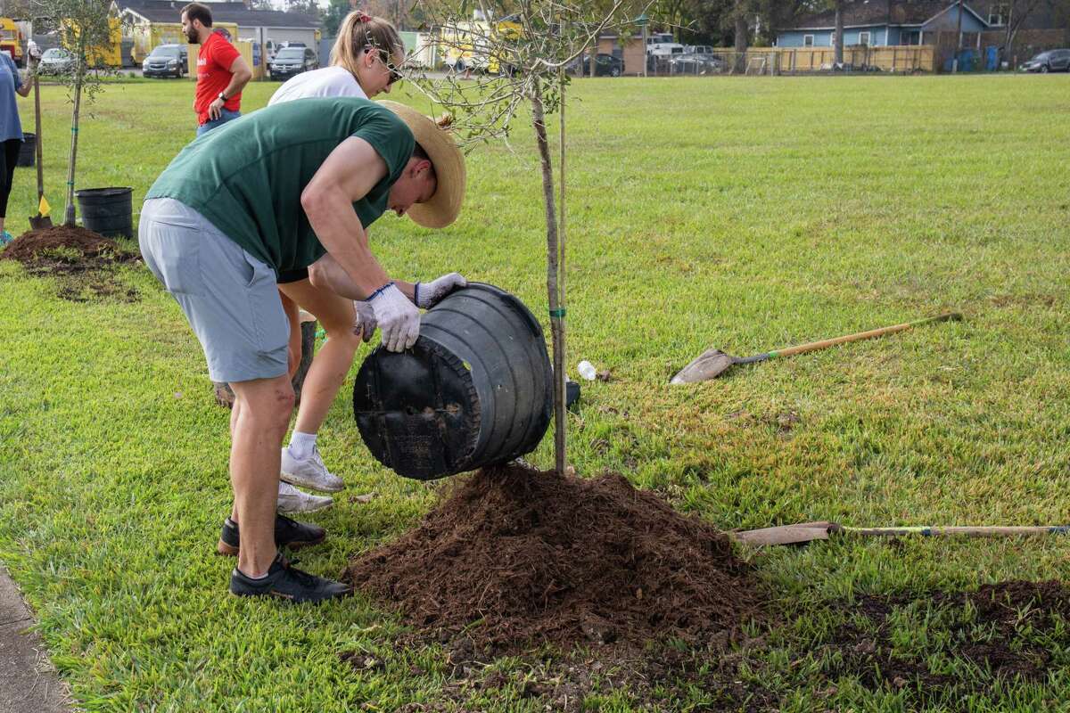 Trees For Houston shatters its annual record by planting 60,035 trees ...