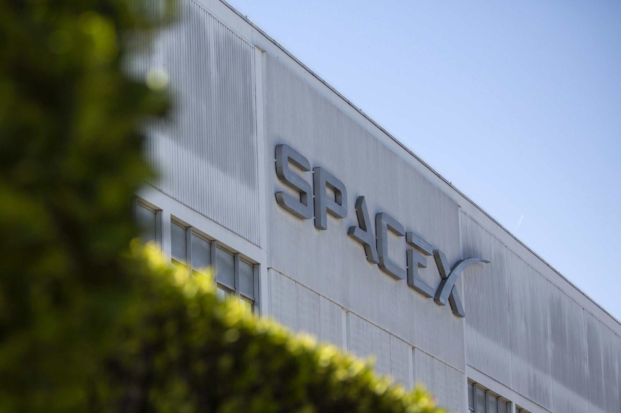 SpaceX Employees Fired Over Letter Calling CEO Elon Musk An 'Embarrassment'