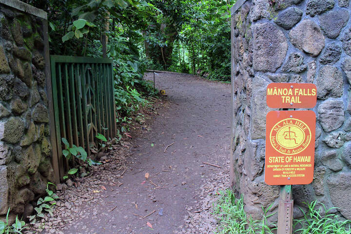 What you didn’t know about Hawaii's Manoa Falls Trail