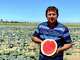 Here’s where to find a black watermelon in the Bay Area
