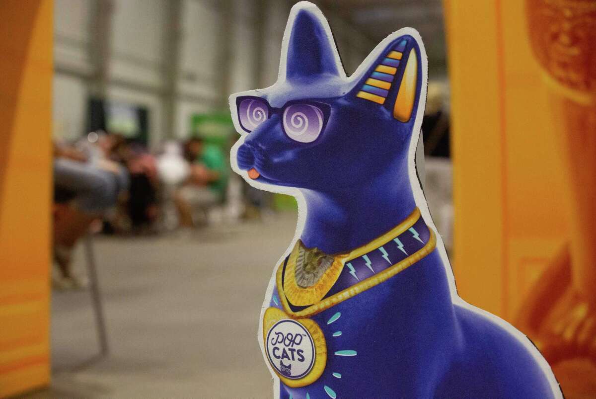 POP Cats festival in Houston brings out four-legged felines