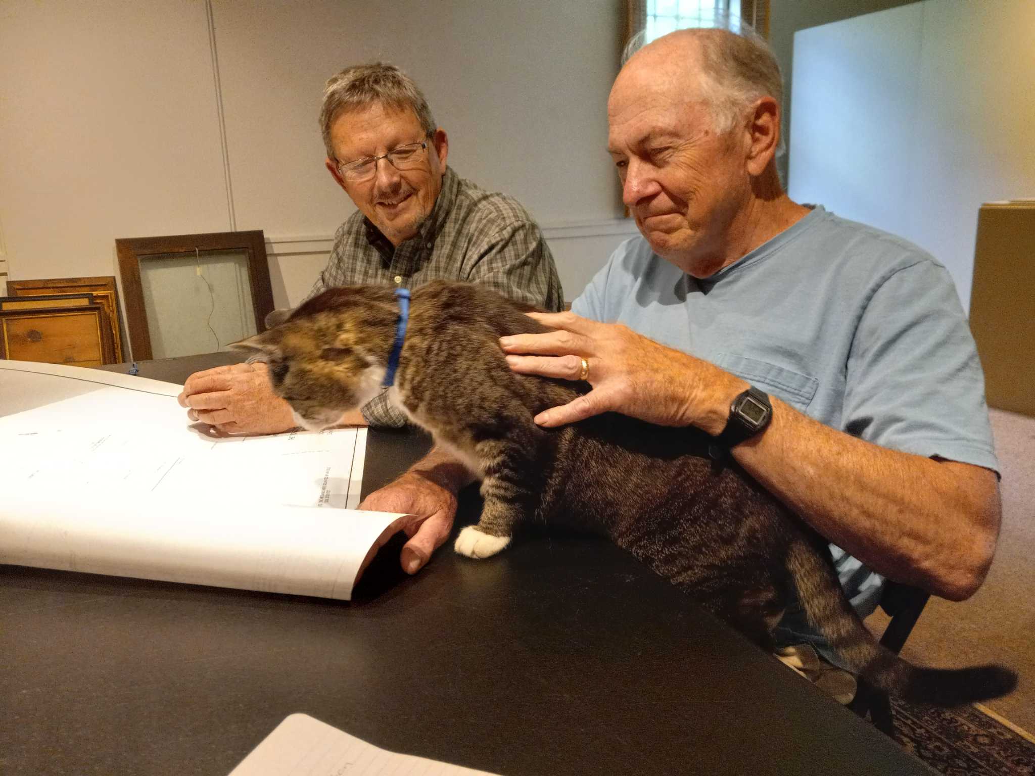 Eddie, Torrington Historical Society cat, dies, officials say