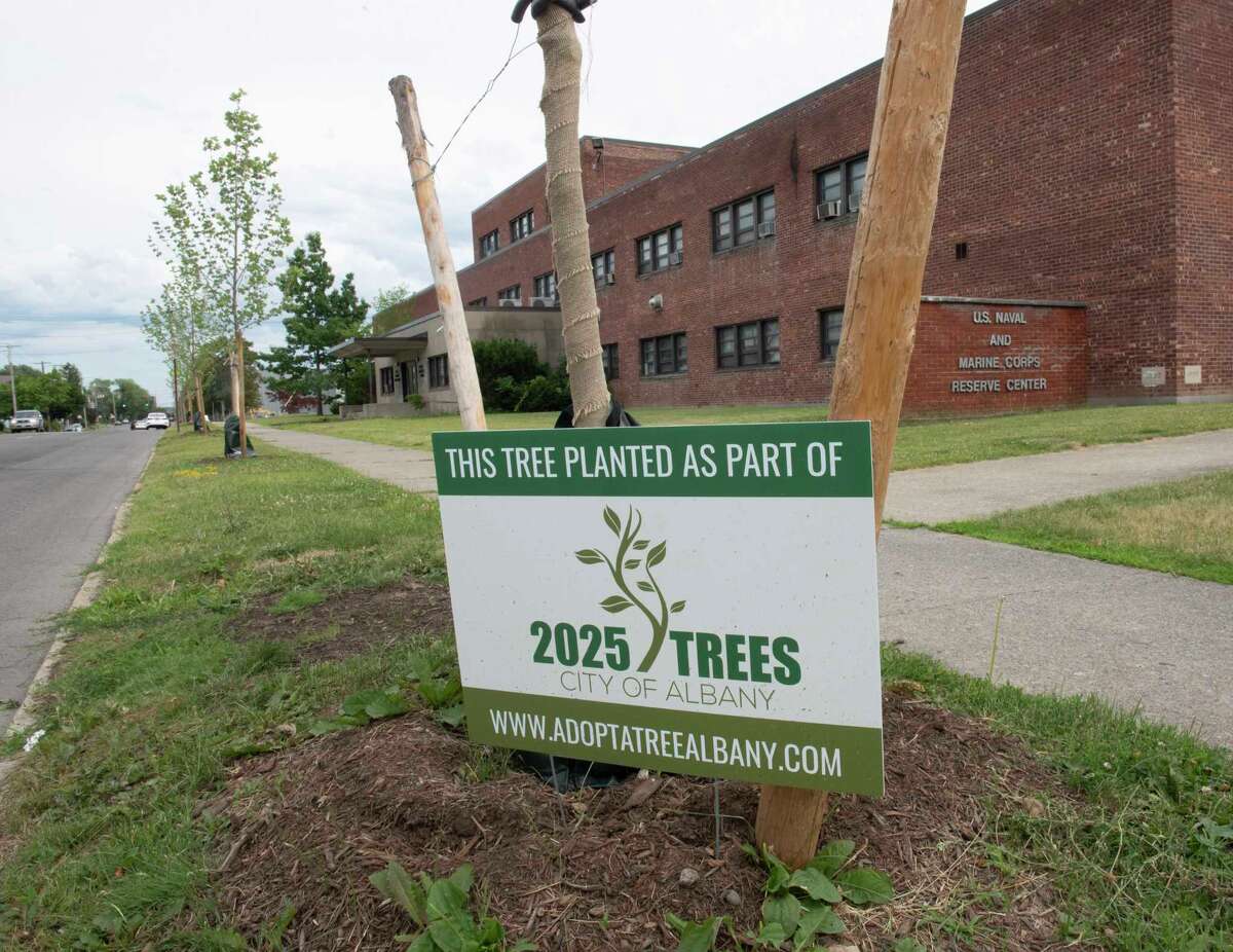 How Albany manages its urban forest