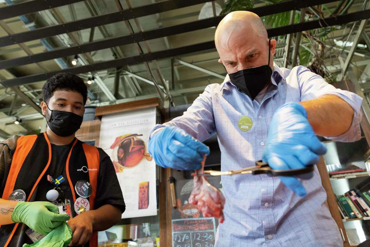 You can’t unsee this: Cow eyeball dissections are S.F.’s greatest ...